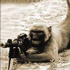 espero que tenha gostado da nossa lista da semana